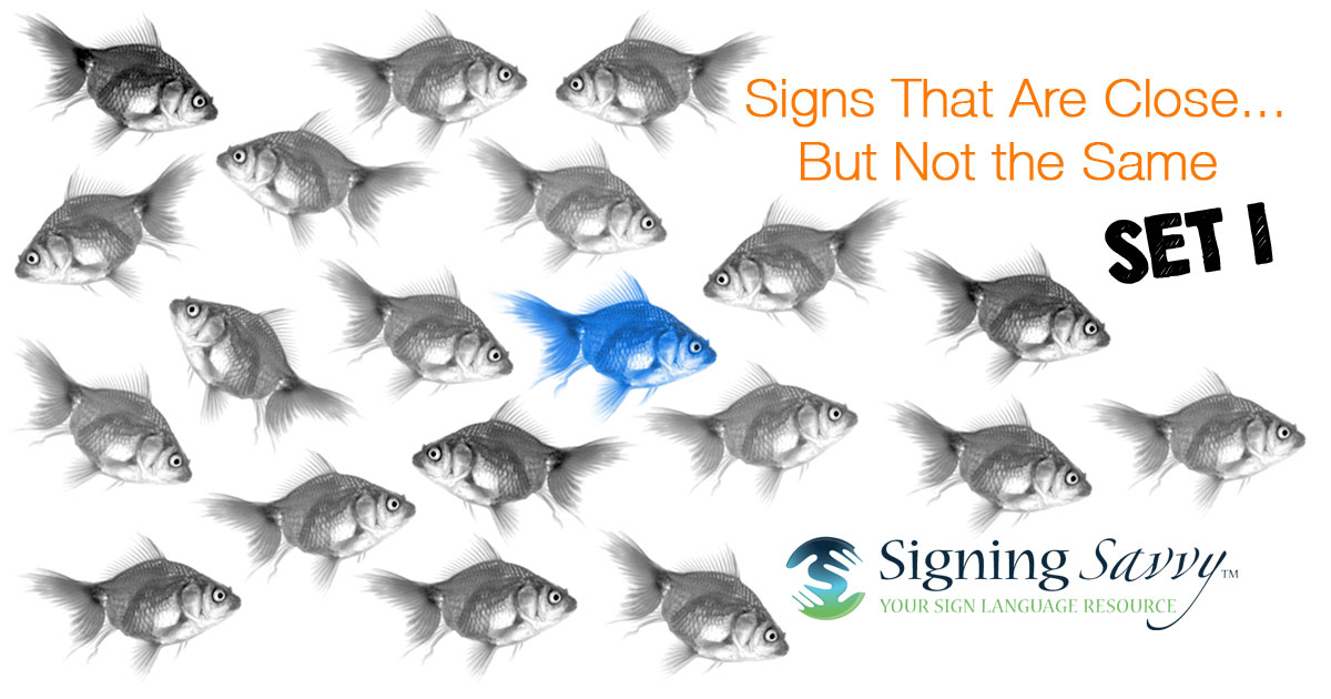 Signs That Are Close... But Not the Same - Set 1 | Signing Savvy Blog